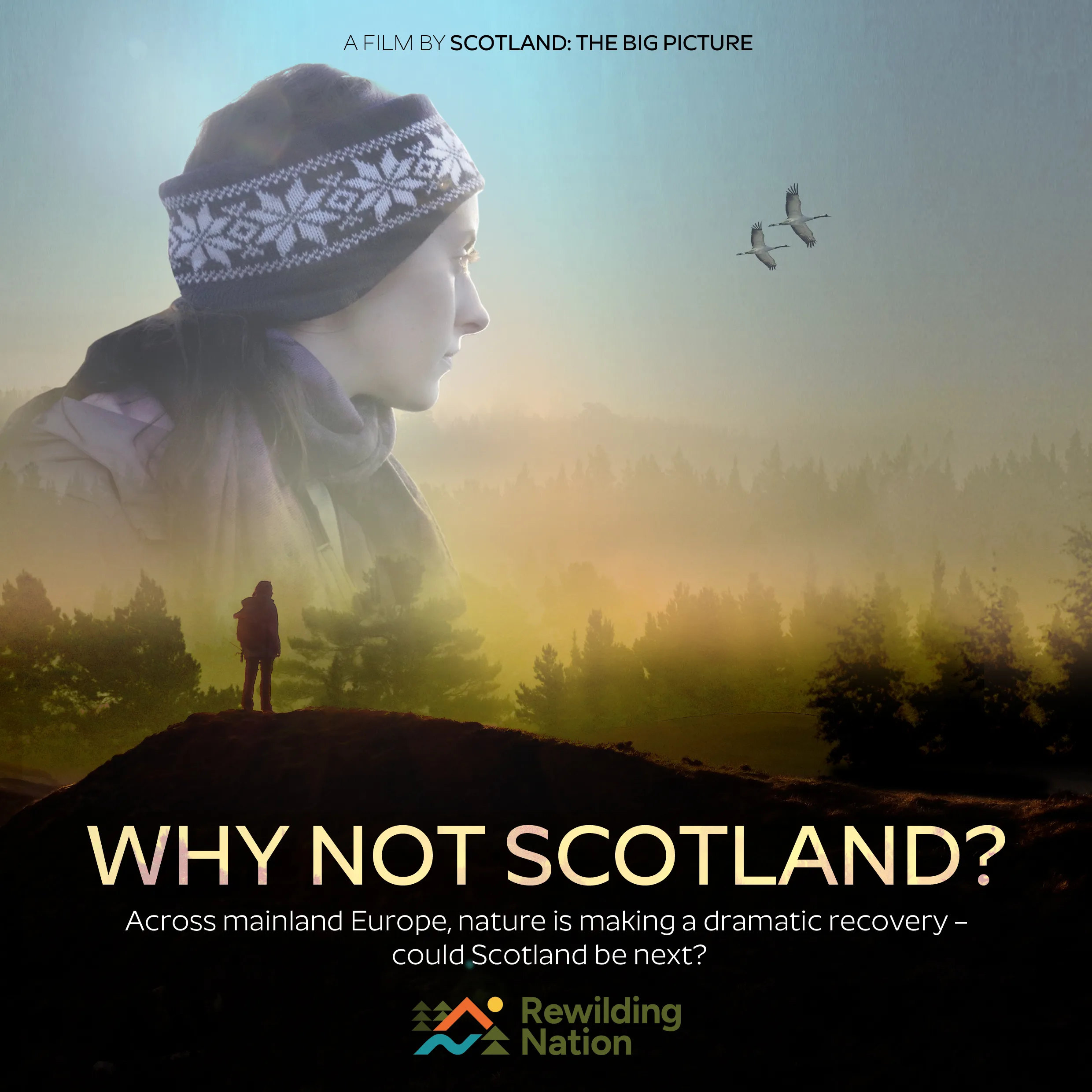 Across Europe, nature is making a dramatic recovery – could Scotland be ...